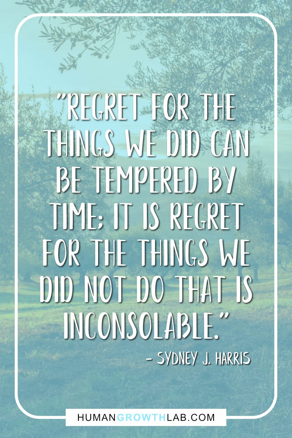 21 Best No Regrets Quotes to inspire you!